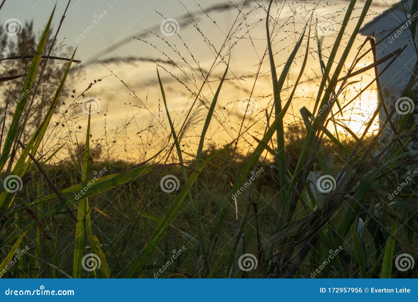 A Sunset Behind a House with Tall Grass on the Foreground Stock Photo ...