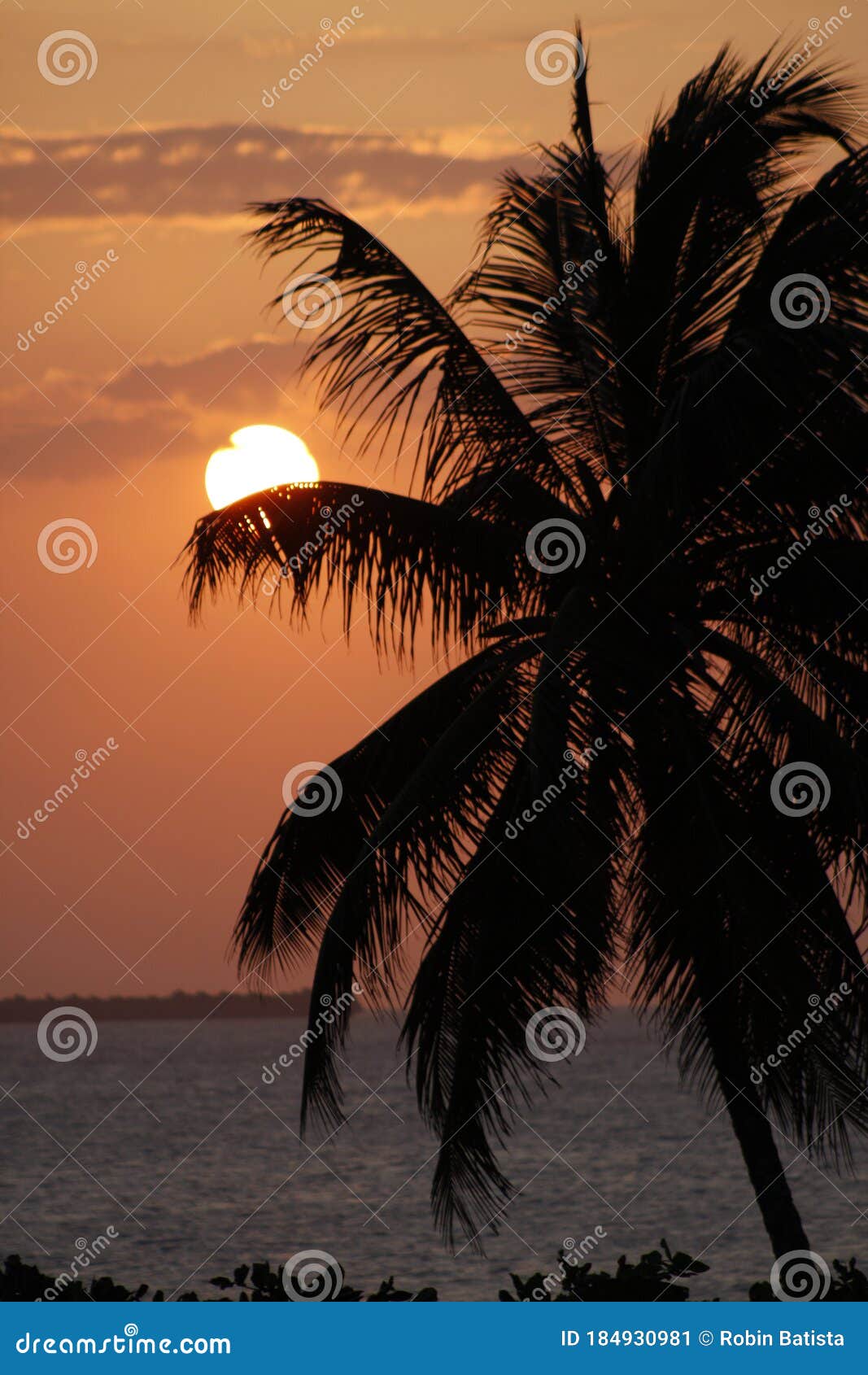 Sunset Behind a Palm Tree in a Tropical Island Stock Image - Image of ...