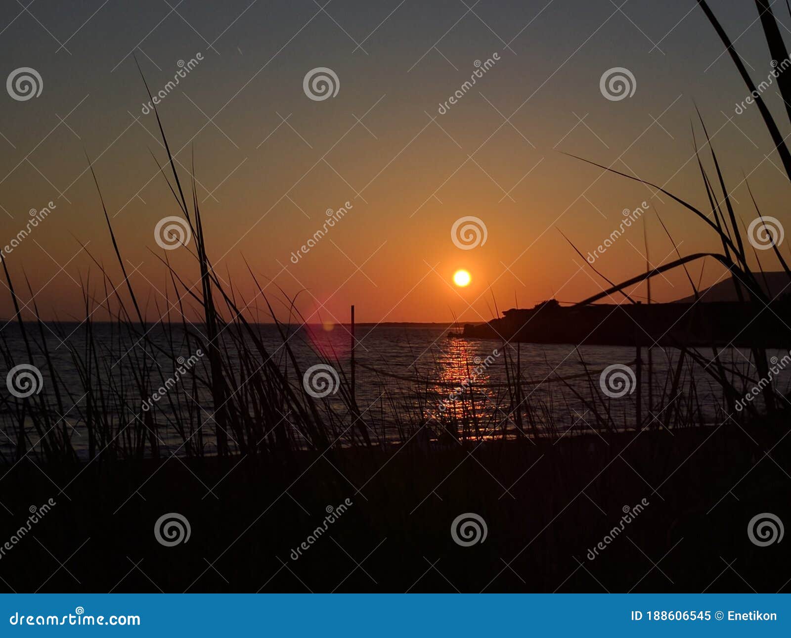 Sunset behind the plants stock image. Image of plants - 188606545