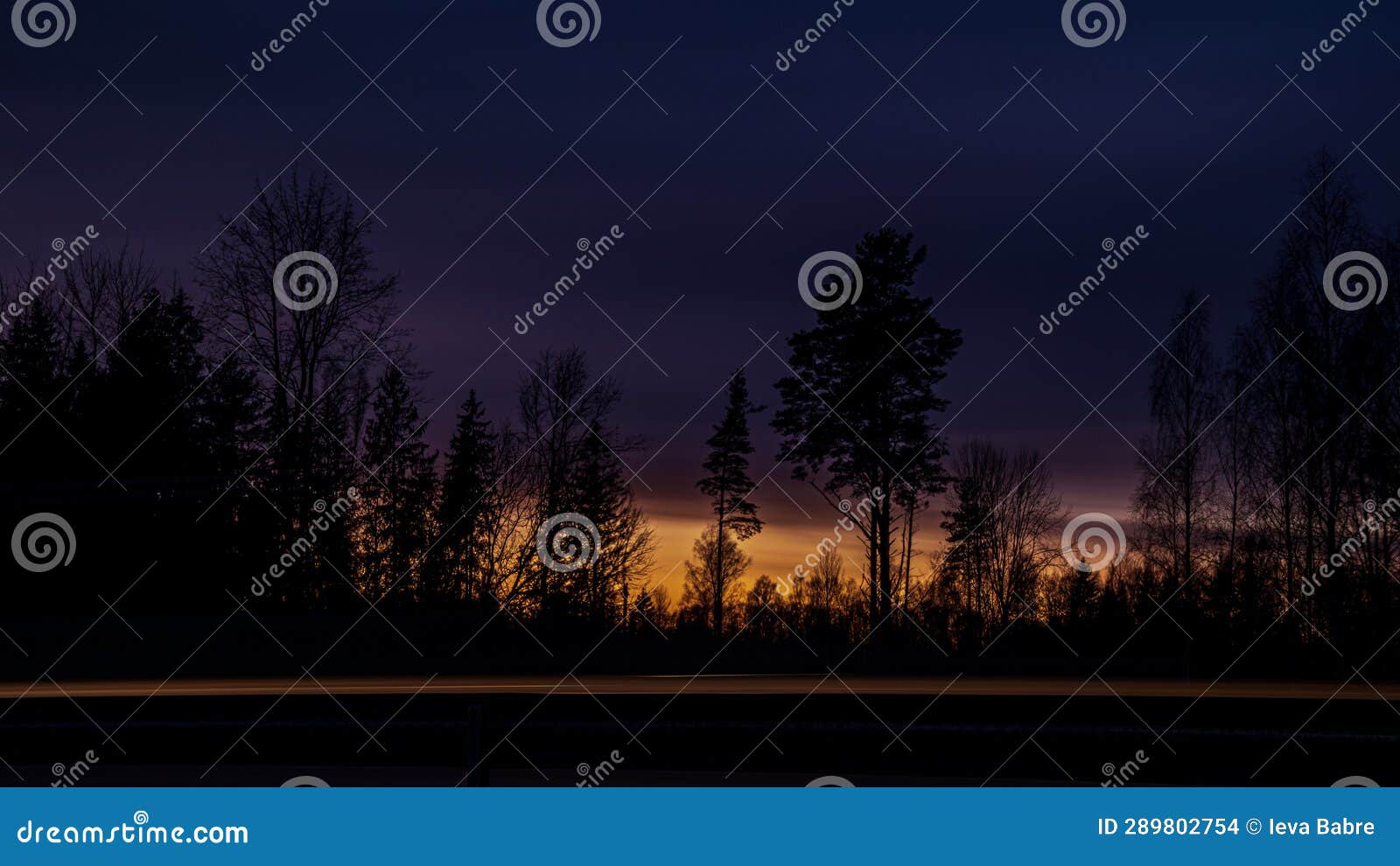 Sunset Behind Trees and Driving Car Lights Stock Photo - Image of trees ...