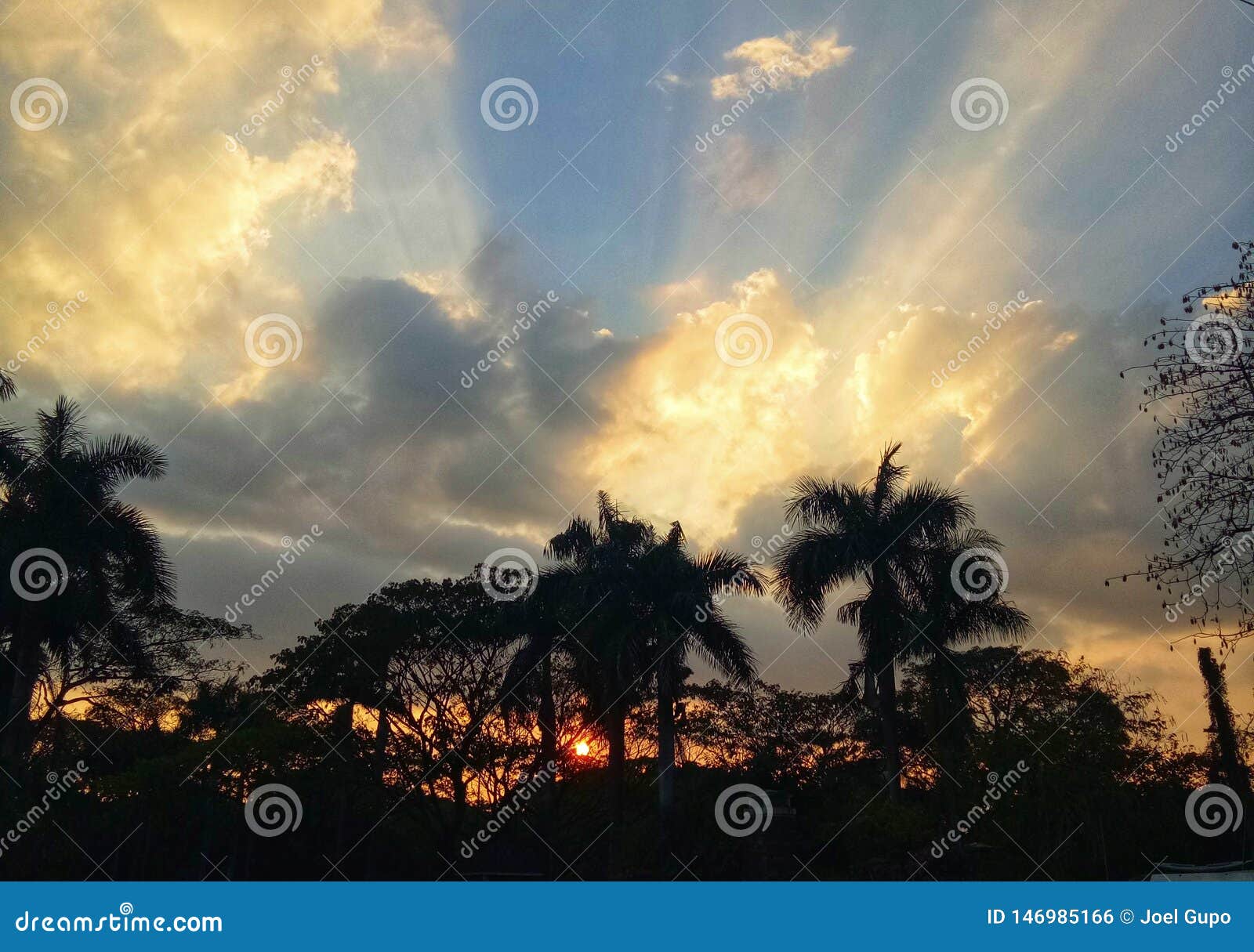 Sunset behind trees stock photo. Image of silhoute, trees - 146985166