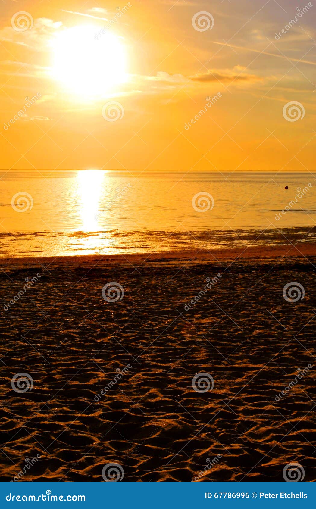 Sunset on Ben T Davis Beach in Florida Stock Photo - Image of dawn ...