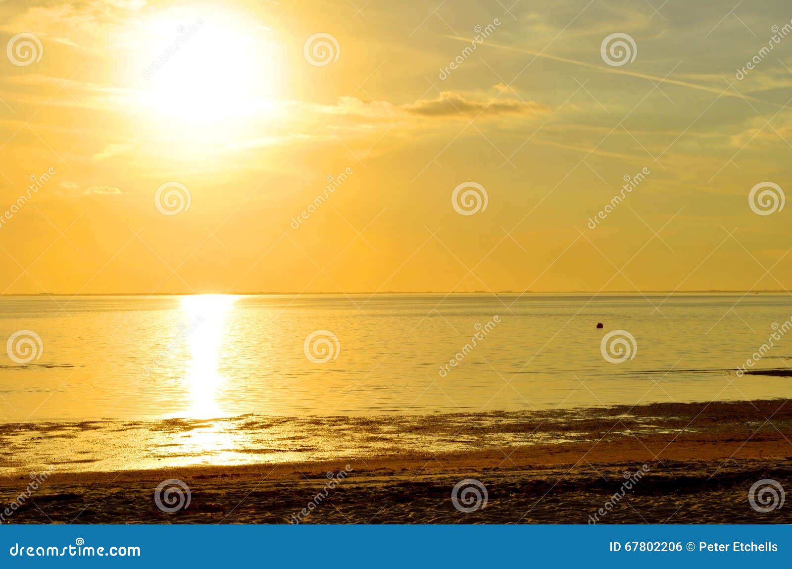 Sunset on Ben T Davis Beach in Florida Stock Photo - Image of tampa ...