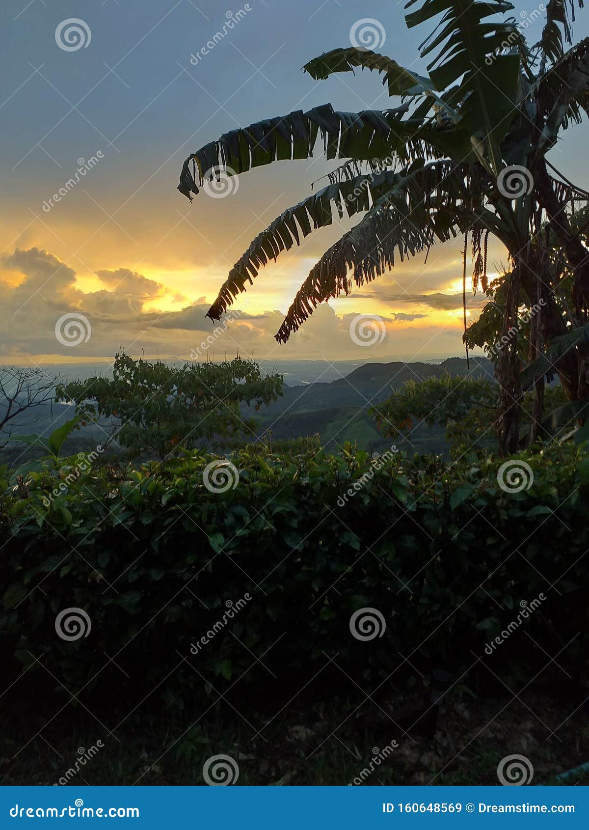 Sunset in Berlin Costa Rica Stock Image - Image of sunset, berlin ...
