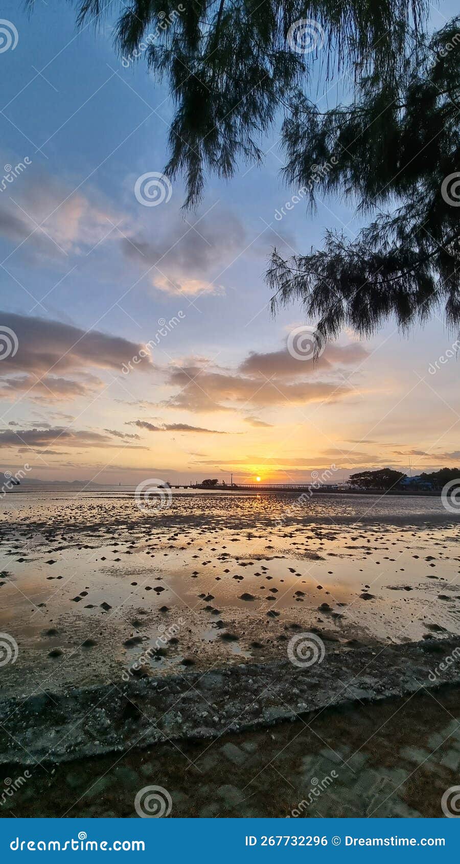 Sunset is the best healing stock photo. Image of evening - 267732296