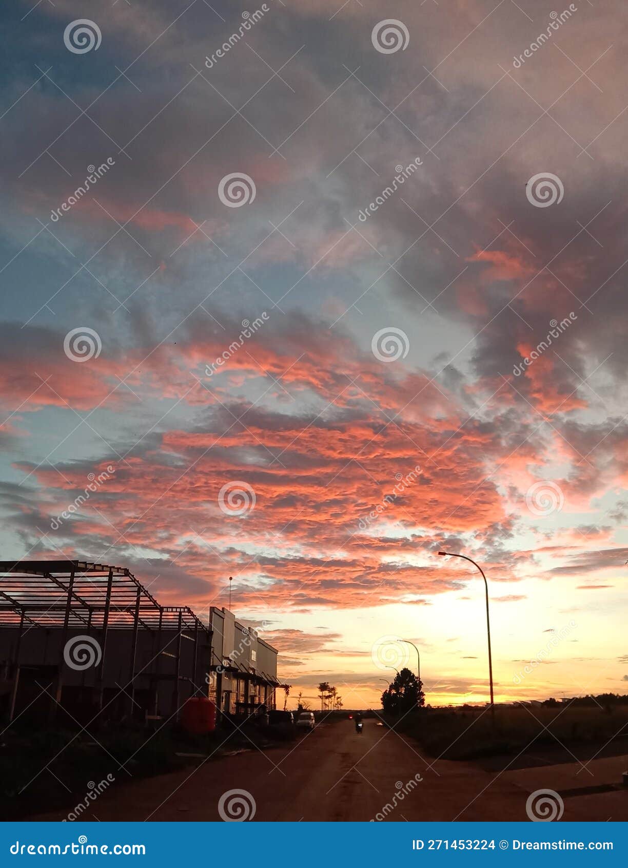 Sunset is the Best Part of Sad Stock Photo - Image of night, quail ...