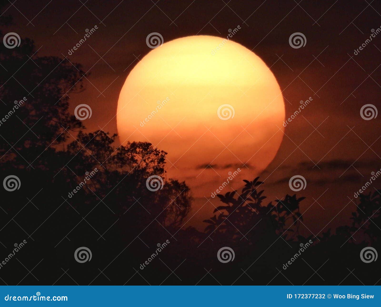 Sunset with a big sun stock photo. Image of golden, trees - 172377232