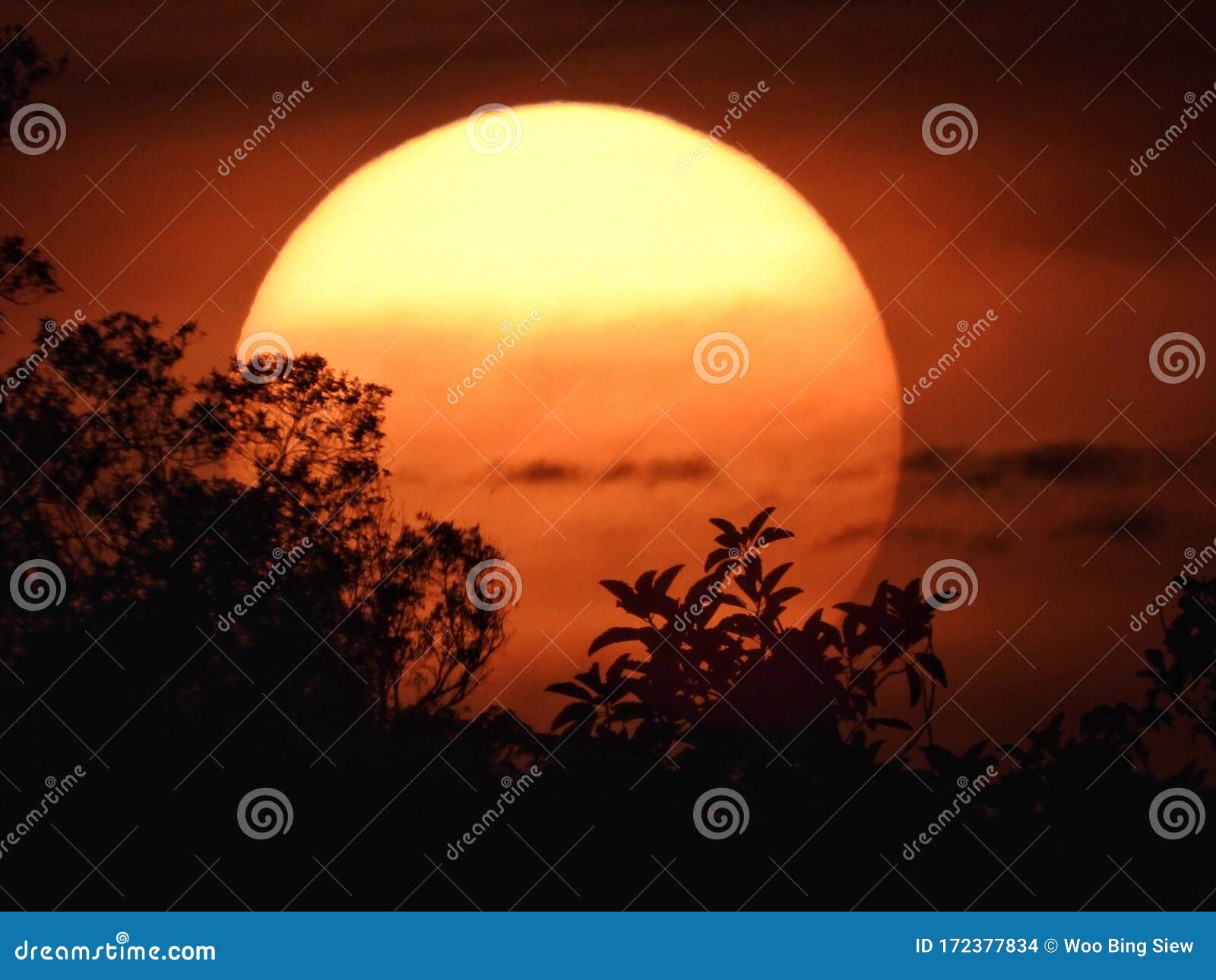 Sunset with a big sun stock photo. Image of sunset, forests - 172377834