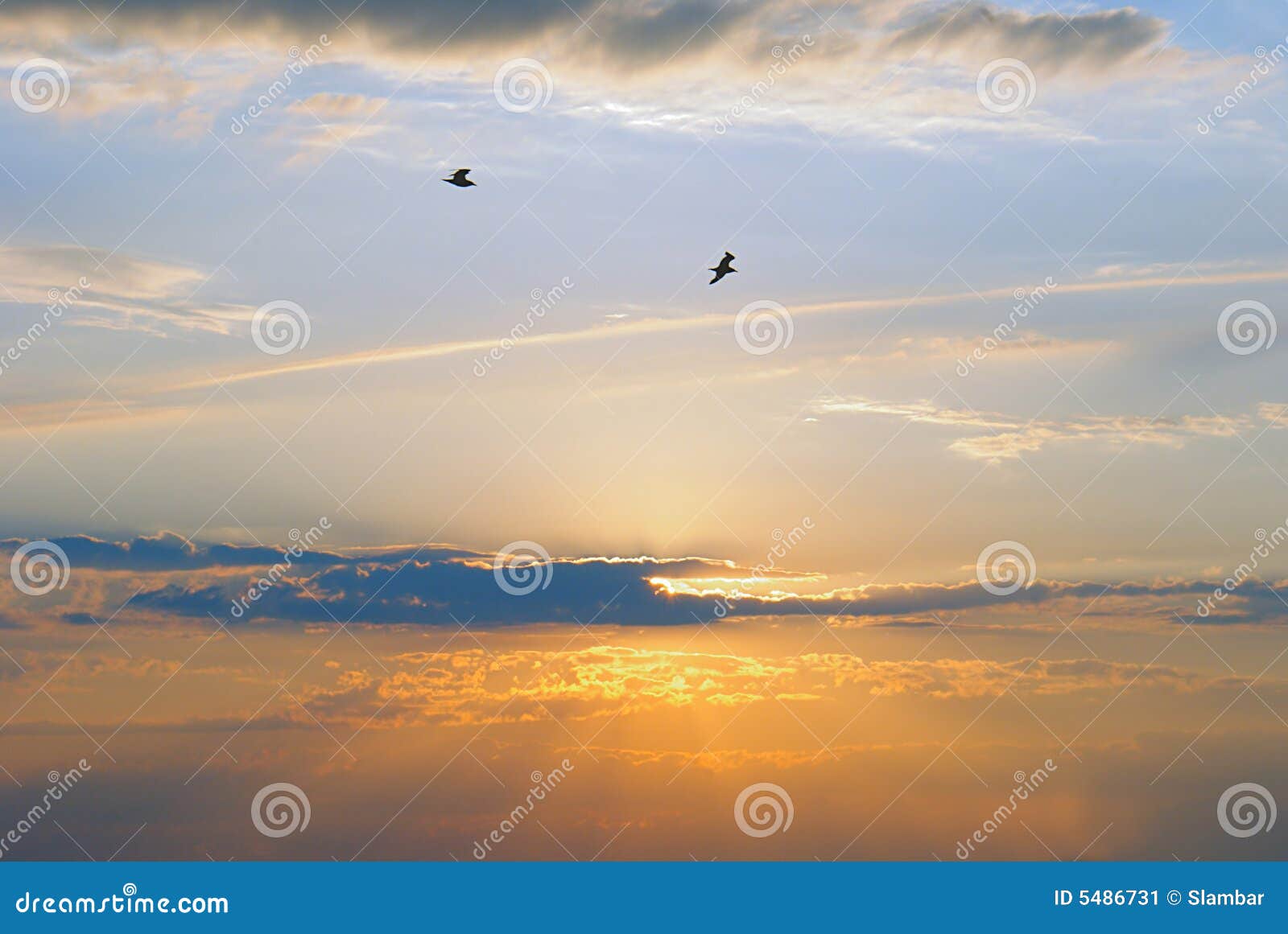 Sunset with Birds in the Distance Stock Image - Image of clouds, scenic ...