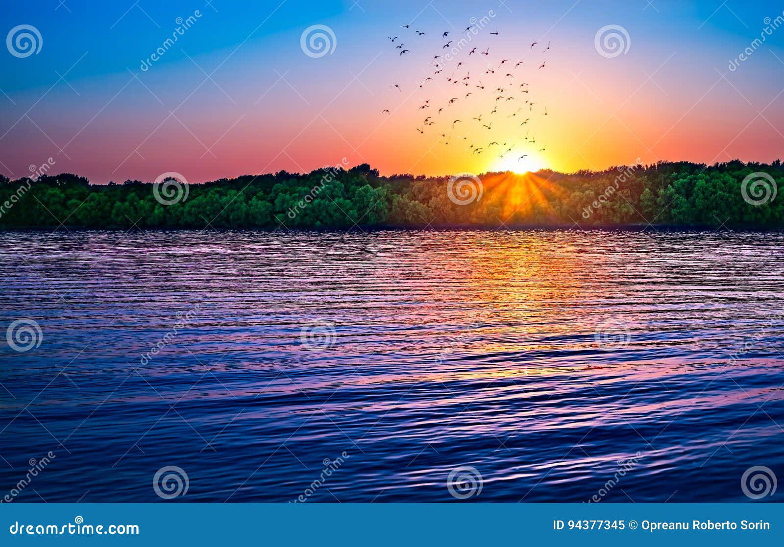 Sunset birds over water stock image. Image of bird, beach - 94377345