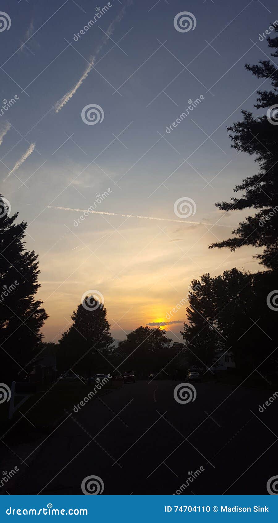 Sunset stock photo. Image of blue, yellow, sunset, trees - 74704110