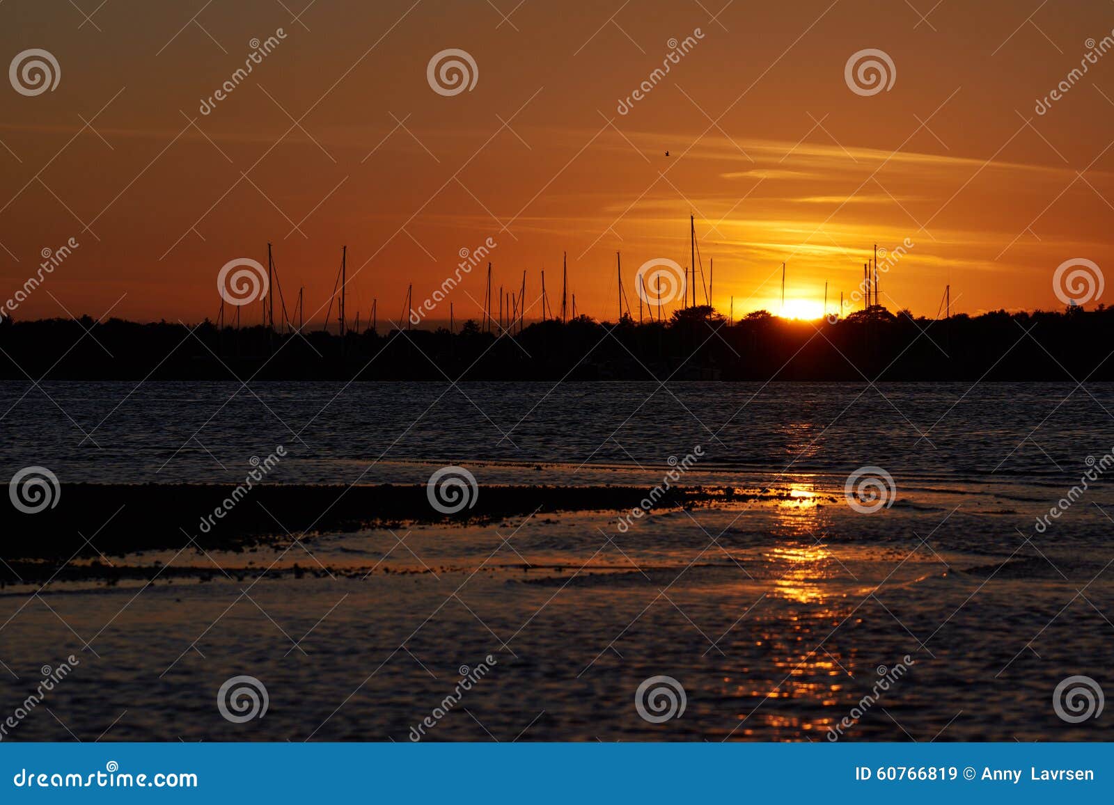 Sunset in Branden, Salling, Denmark Stock Image - Image of branden ...