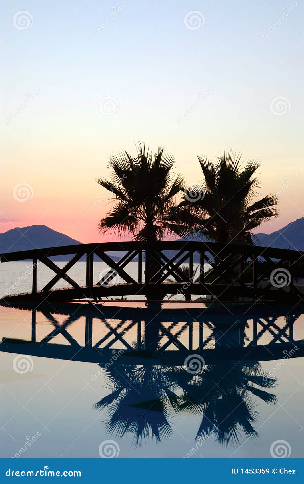 Sunset Bridge and Palm Trees Stock Image - Image of sunset, holiday ...