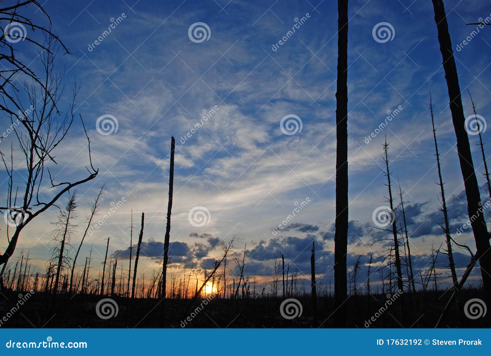 Sunset after the burn stock photo. Image of clouds, twilight - 17632192