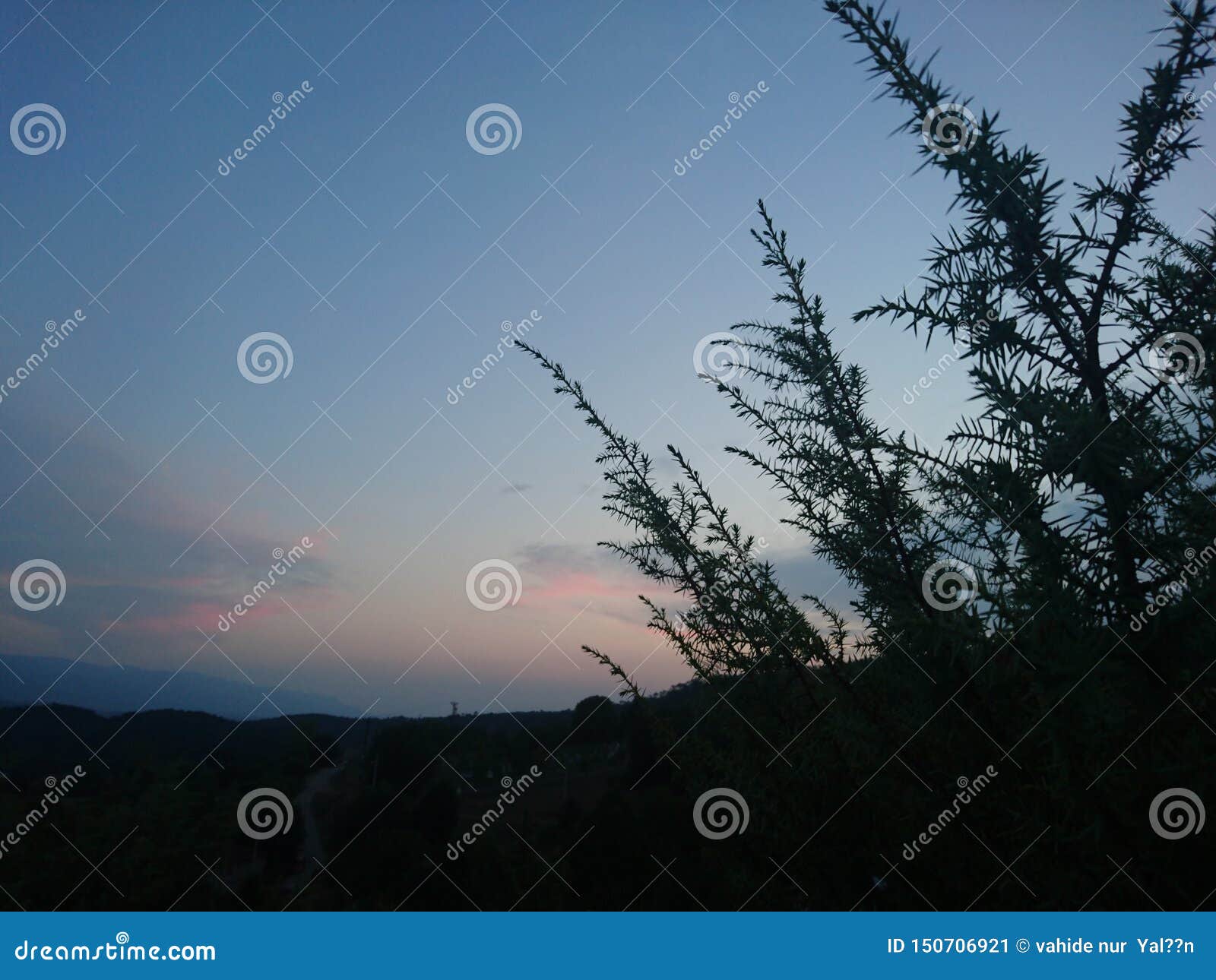 Sunset in the bush stock image. Image of natural, bush - 150706921