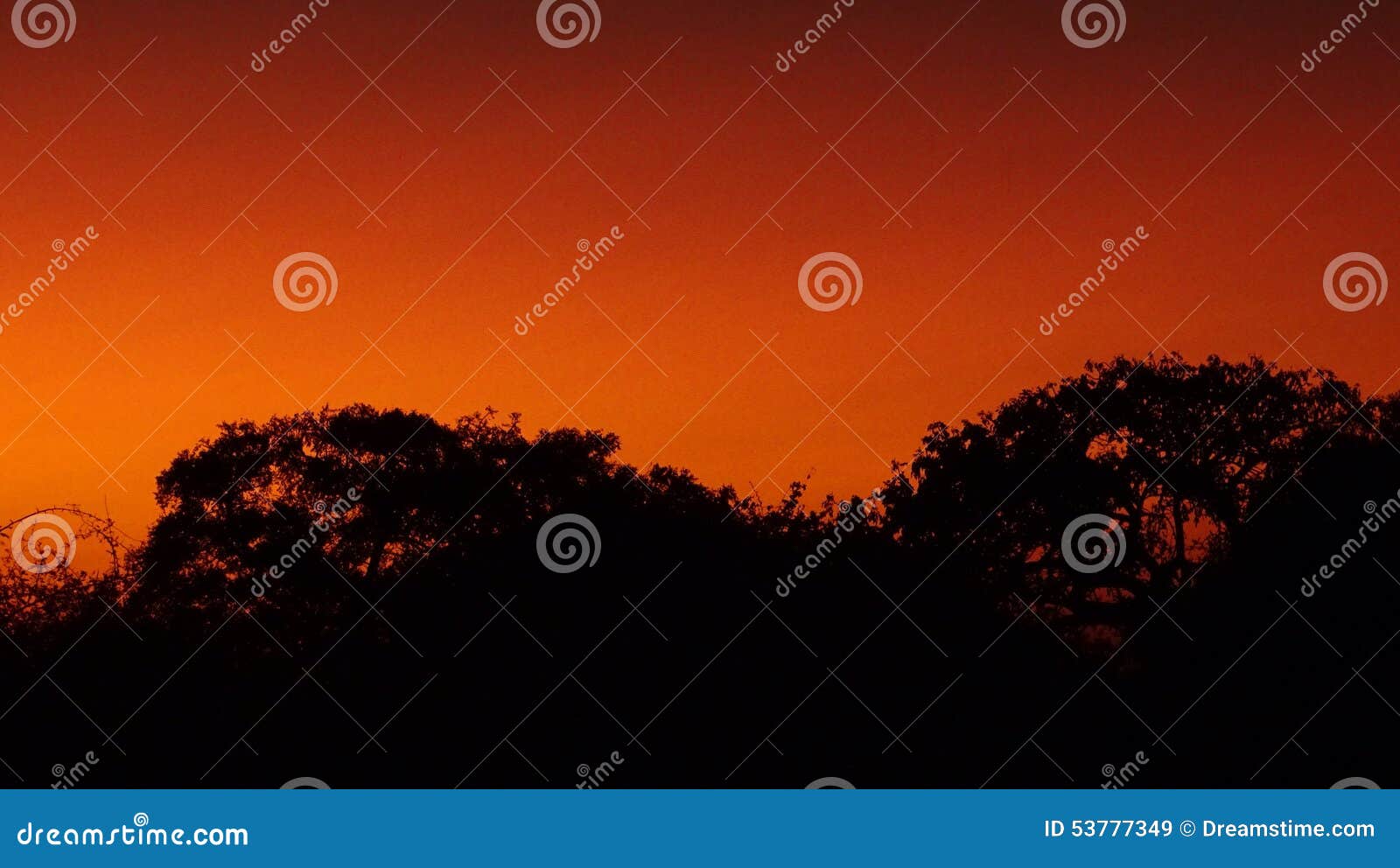 Sunset stock image. Image of africa, north, sunset, bushveld - 53777349