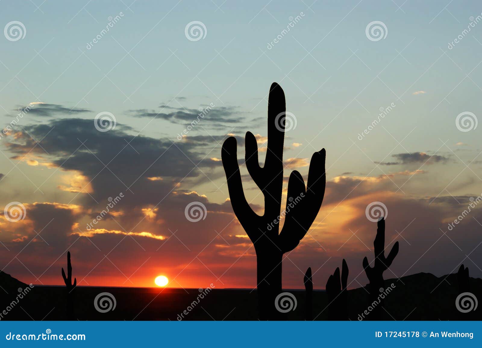 Sunset and Cactus stock photo. Image of cloud, pink, desert - 17245178