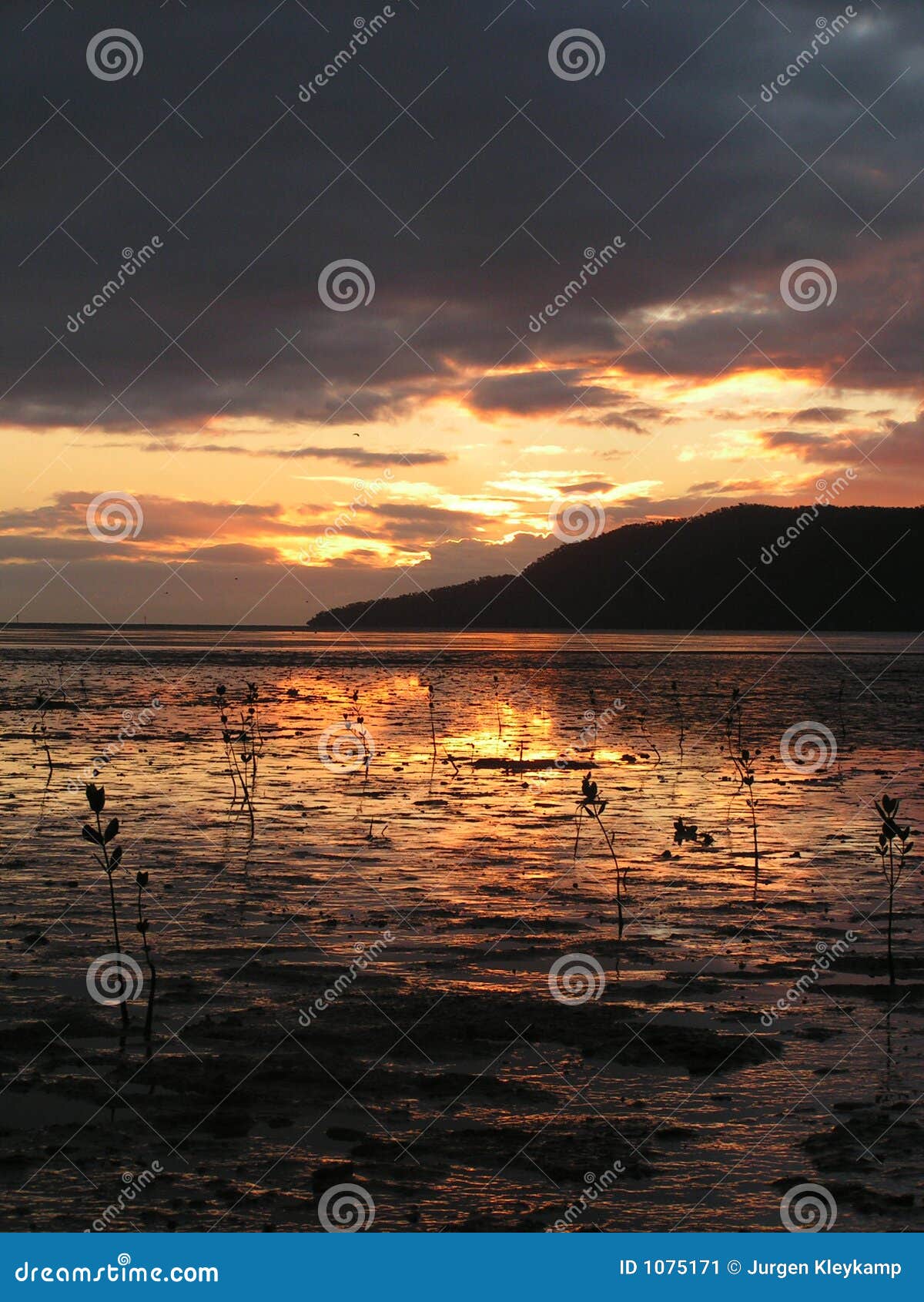 Sunset in Cairns stock image. Image of peaceful, scenic - 1075171