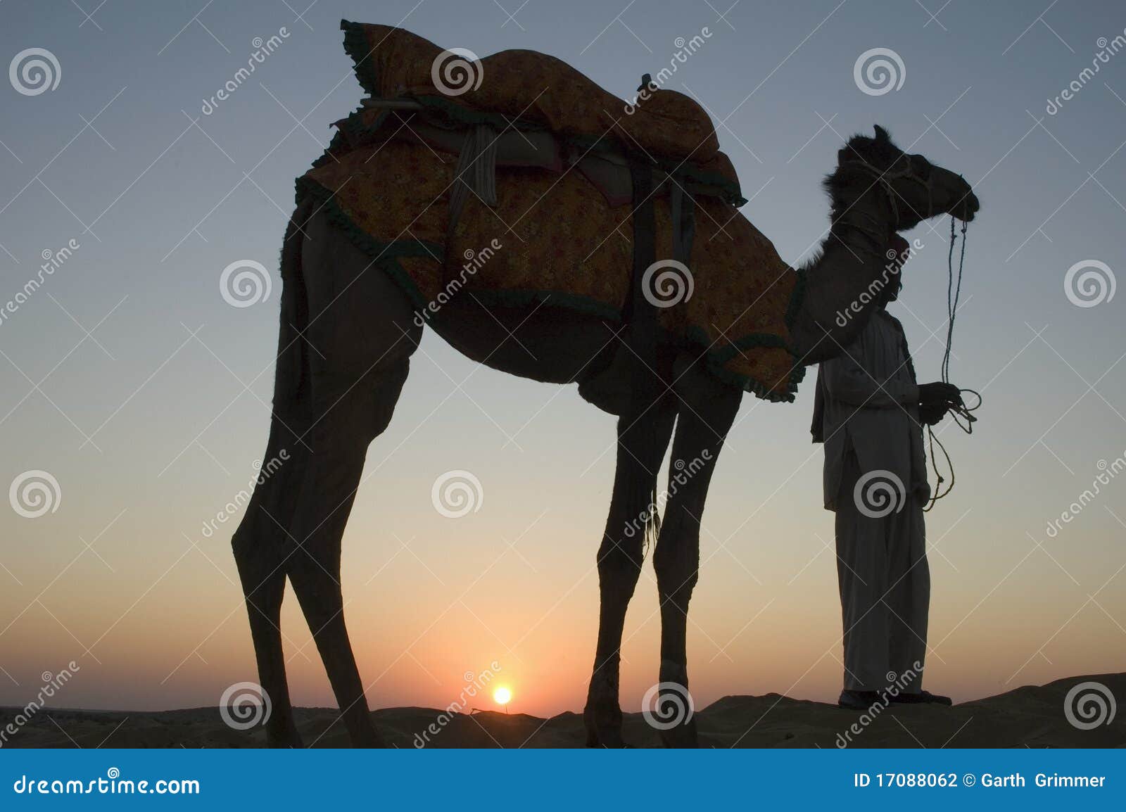 Sunset camel editorial photography. Image of tourist - 17088062