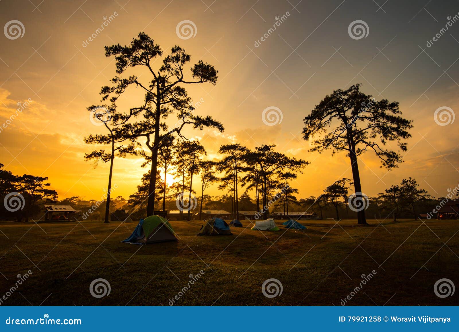 Sunset Camping tents stock photo. Image of fall, forest - 79921258