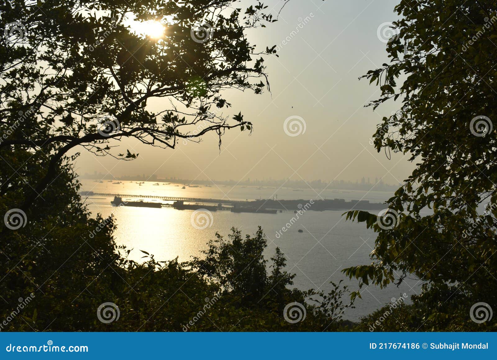 Sunset Captured from Deep Forest Near Ocean Stock Photo - Image of ...