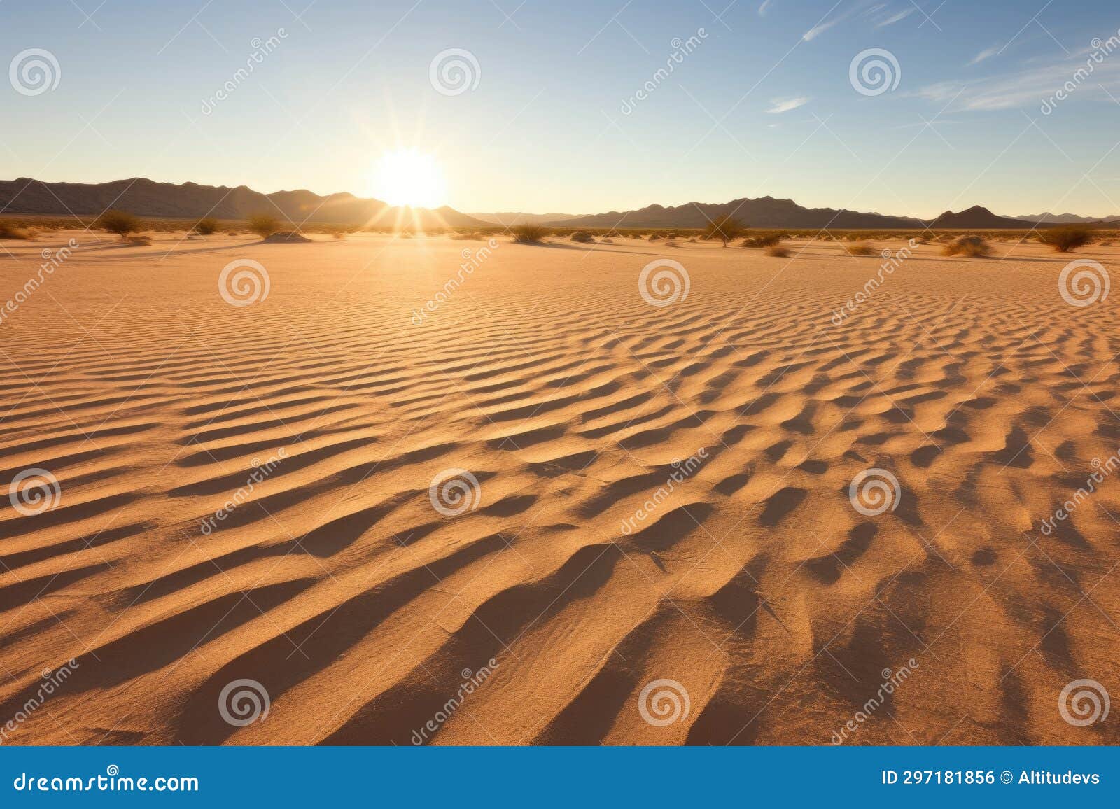Sunset Casting Long Shadows on Desert Landscape Stock Photo - Image of ...