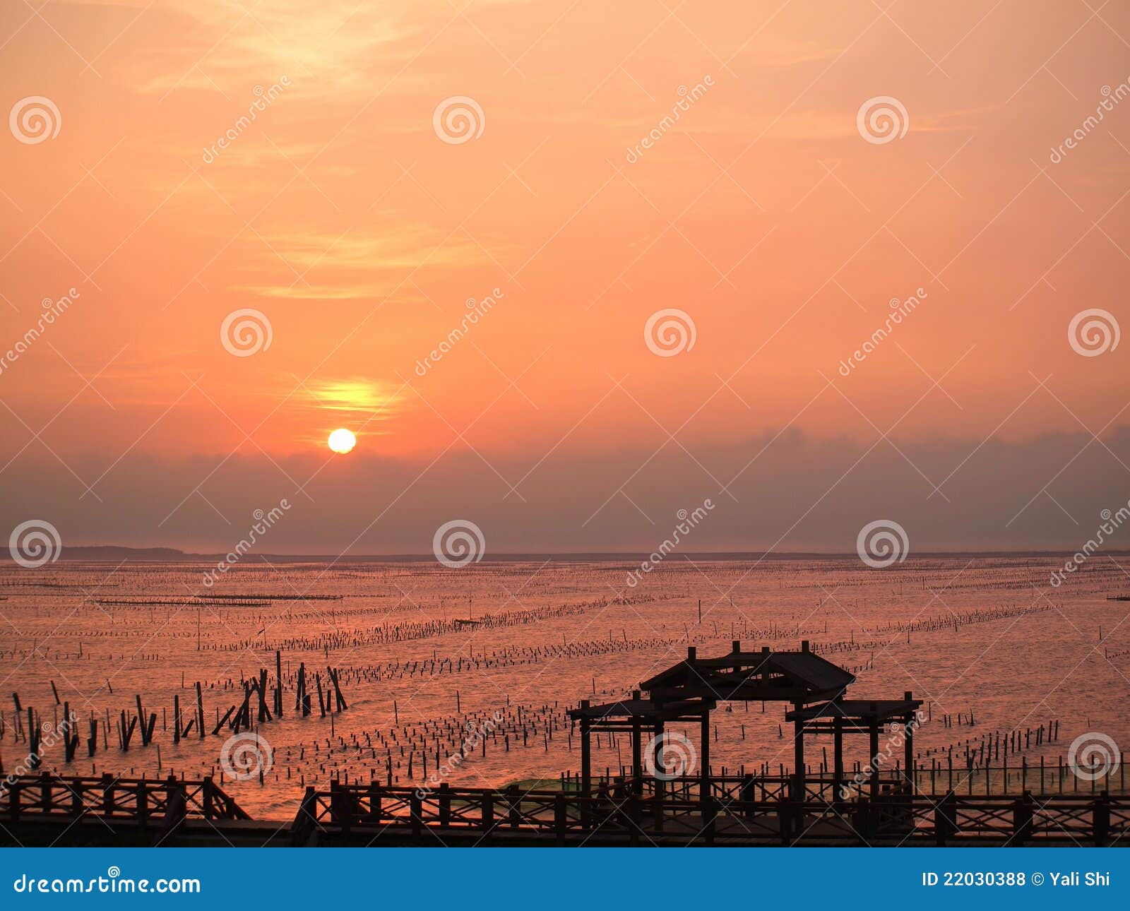 Sunset at Cigu Bay stock photo. Image of taiwan, dusk - 22030388