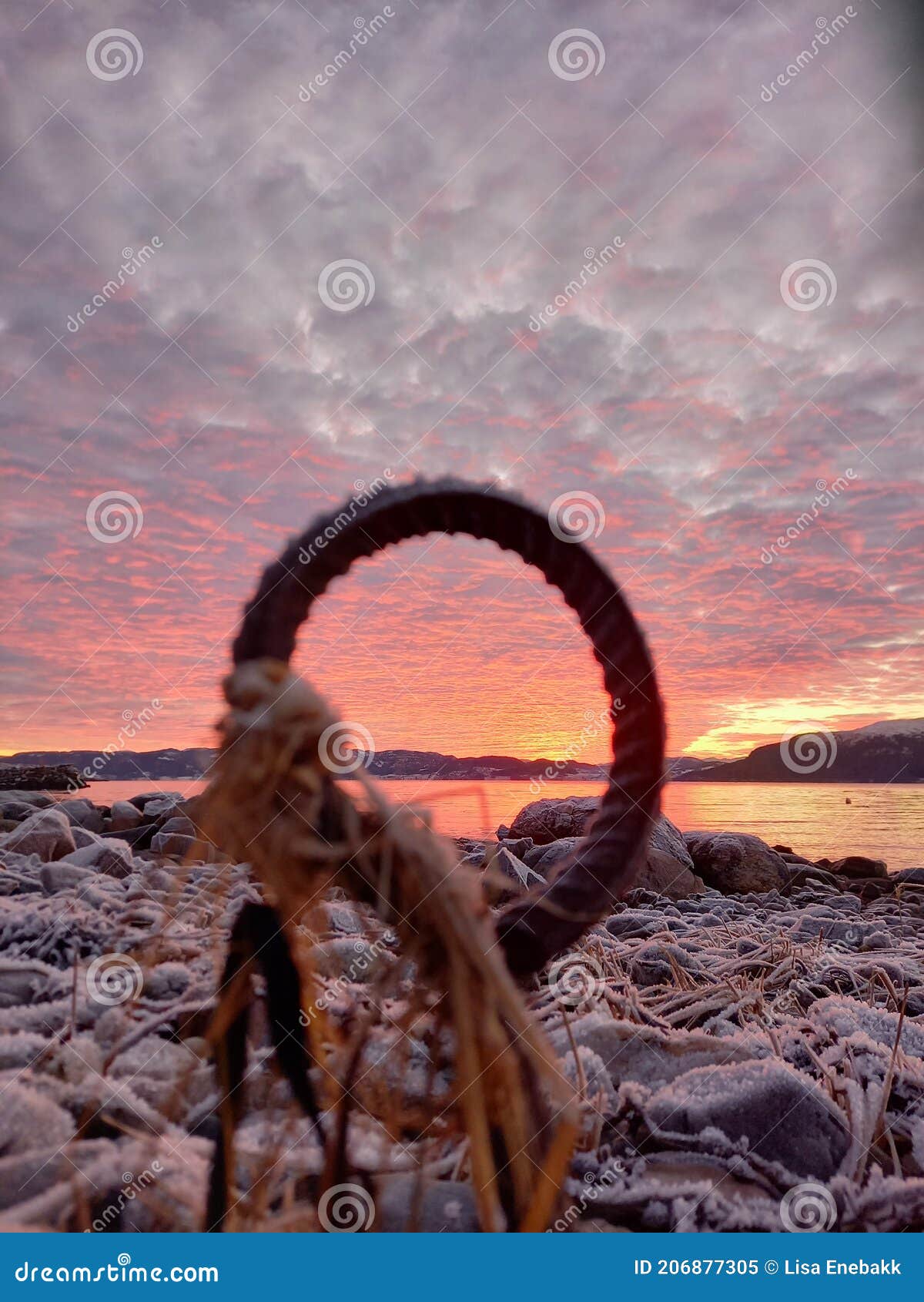Sunset in a circle stock image. Image of sunset, frozen - 206877305