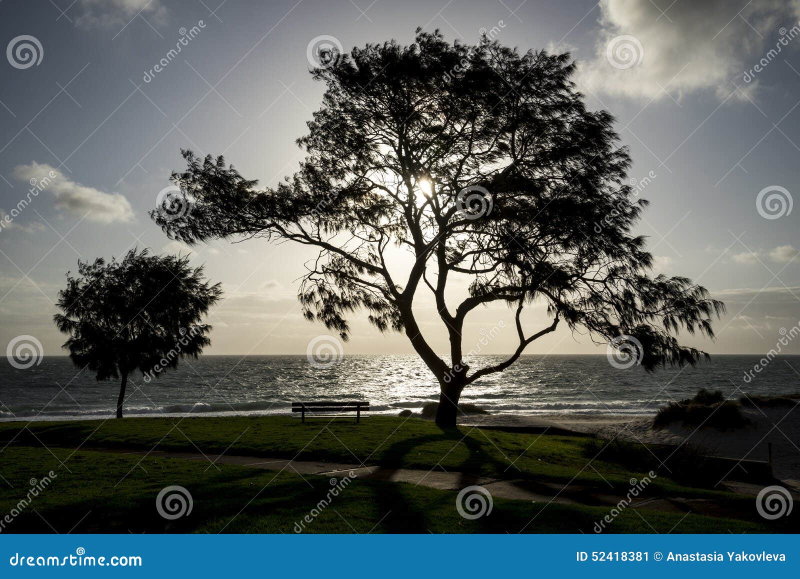 A Sunset on a City Beach in Perth Stock Image - Image of wave, wind ...