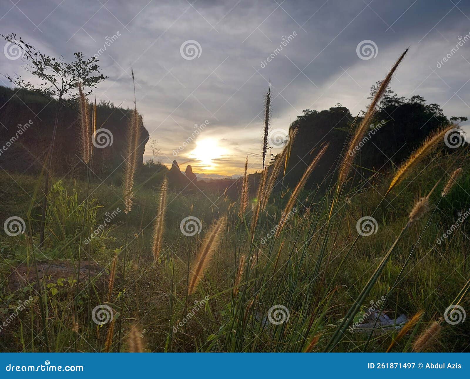 Sunset between cliff stock image. Image of forest, cliff - 261871497