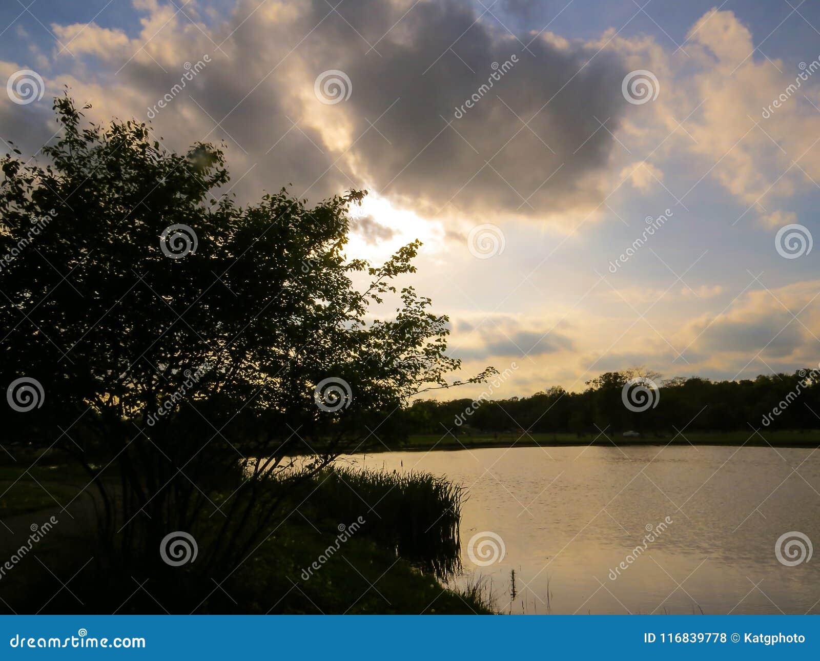 Clouds and Trees Over the Pond in the Evening Sunset Stock Photo ...