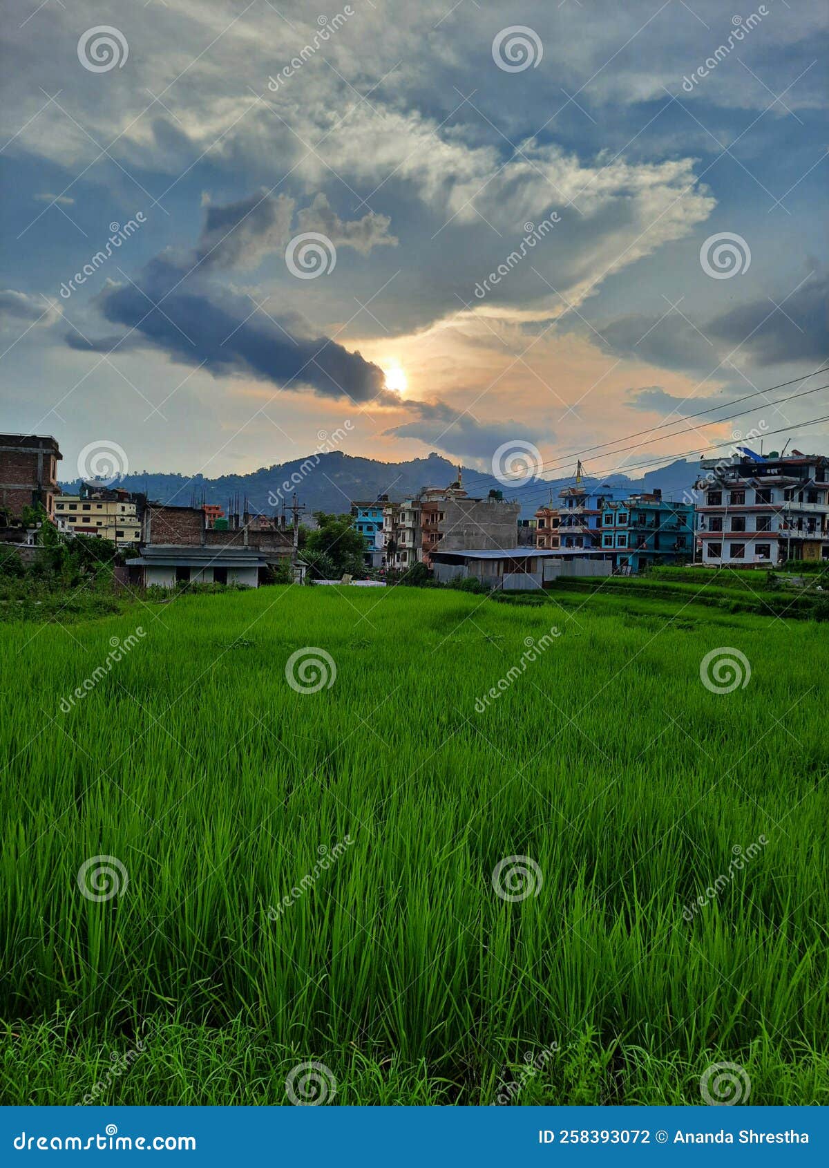 Sunset and Cloudy Sky with Greenary Stock Photo - Image of environment ...