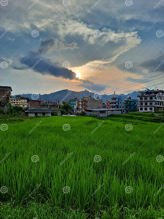 Sunset and Cloudy Sky with Greenary Stock Photo - Image of environment ...