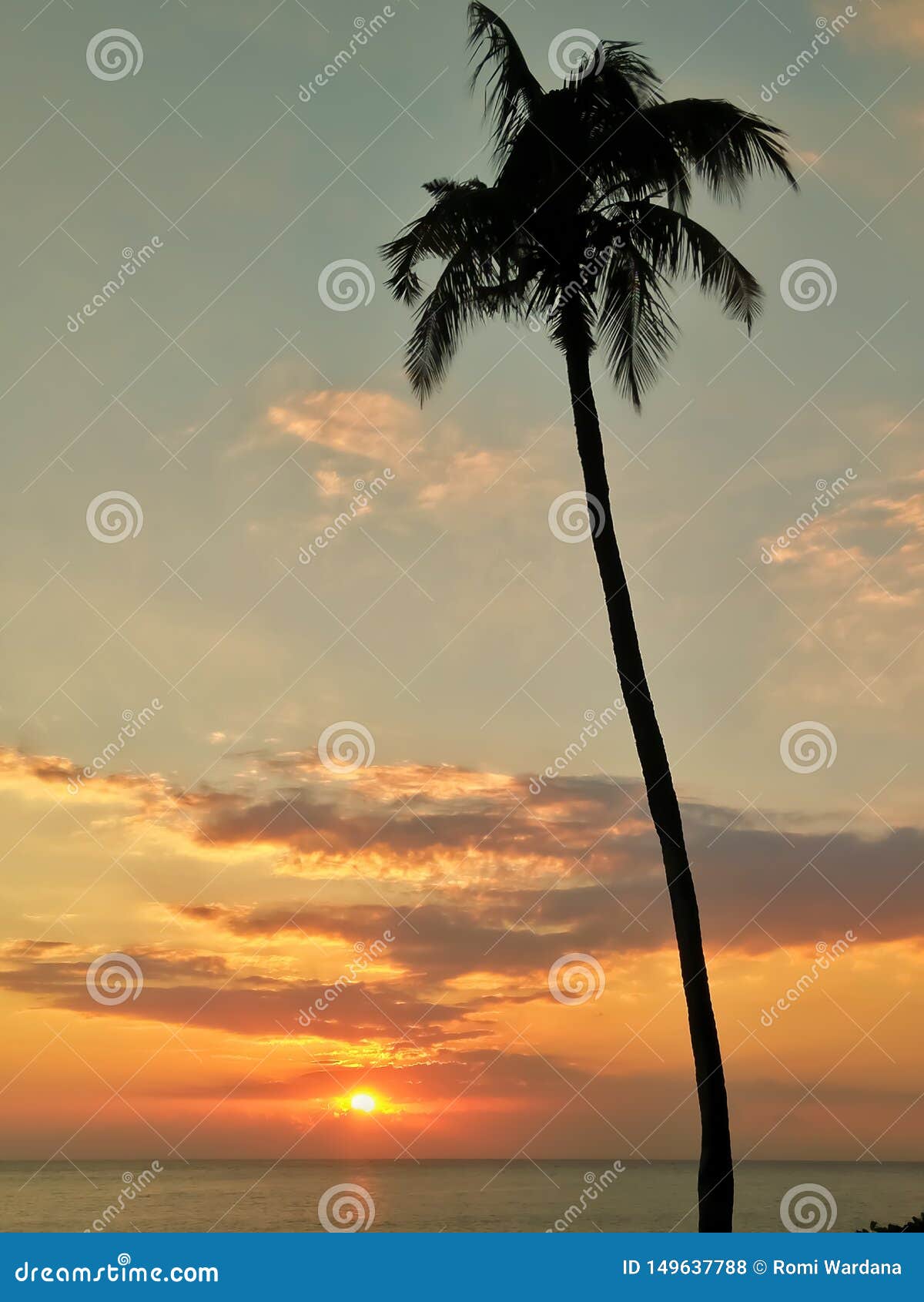 Sunset and coconut tree stock photo. Image of landscape - 149637788