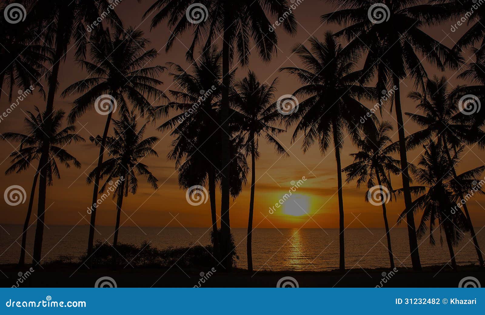 Sunset coconut trees stock photo. Image of beautiful - 31232482
