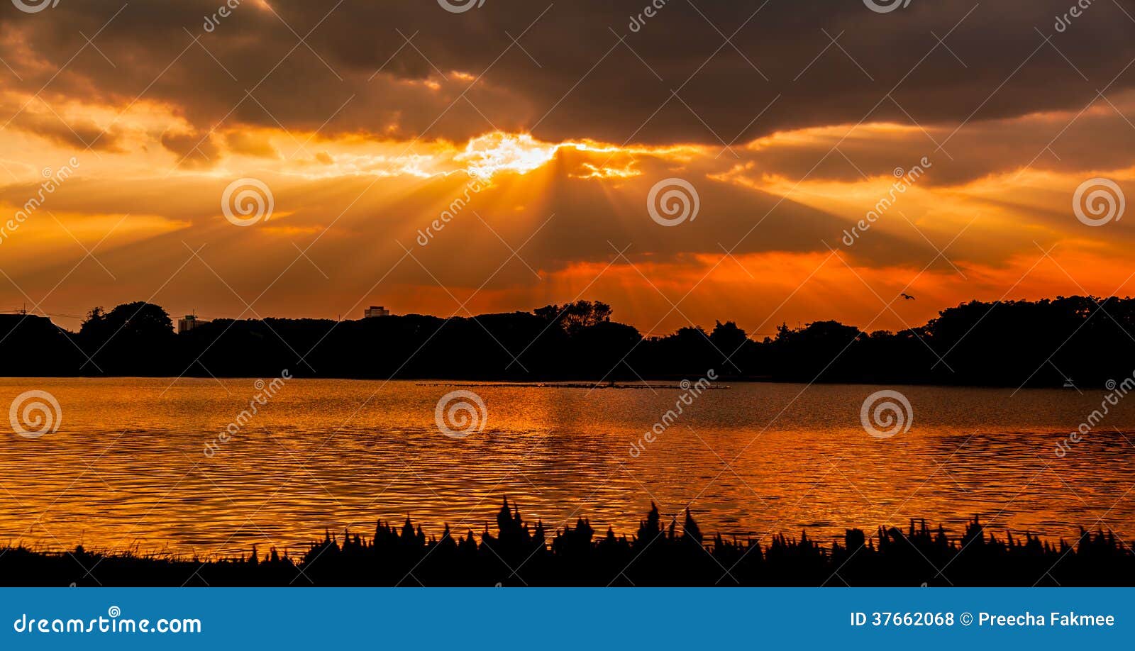 Sunset stock photo. Image of cloudscape, colorful, color - 37662068