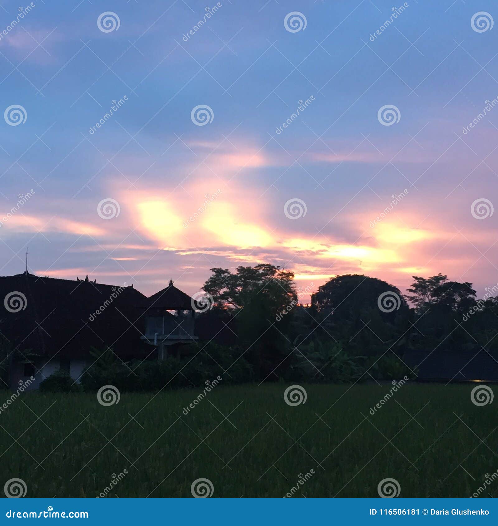 Ubud stock image. Image of sunset, colors, ubud, nature - 116506181
