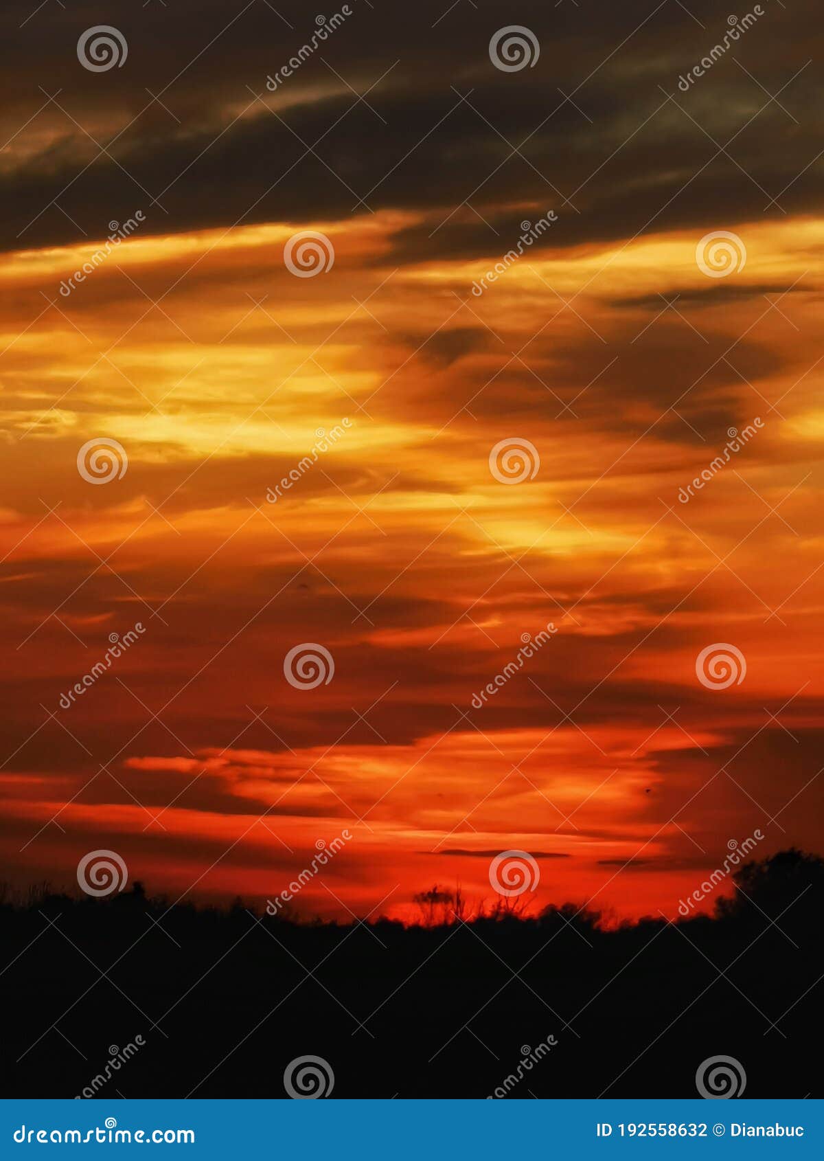 Sunset in colours stock photo. Image of dawn, cumulus - 192558632