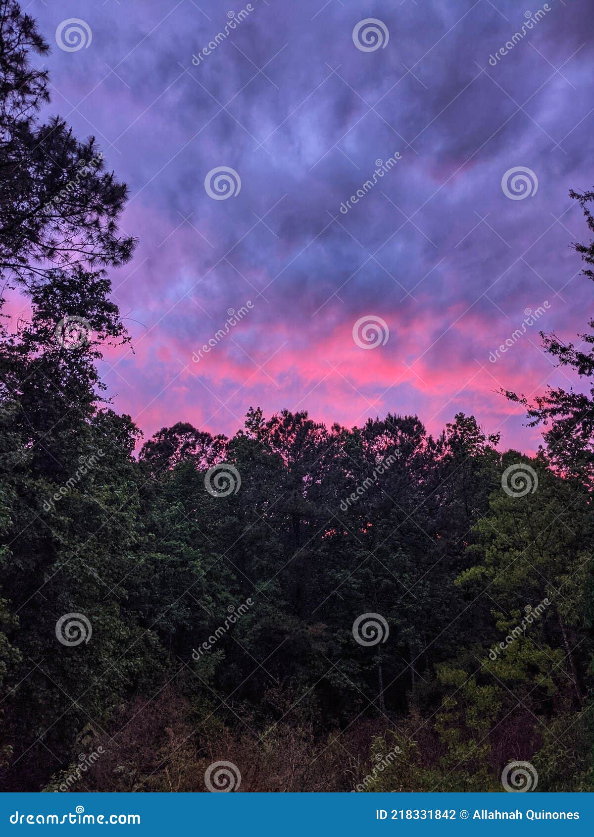 Sunset cotton candy Skies stock photo. Image of sunset - 218331842