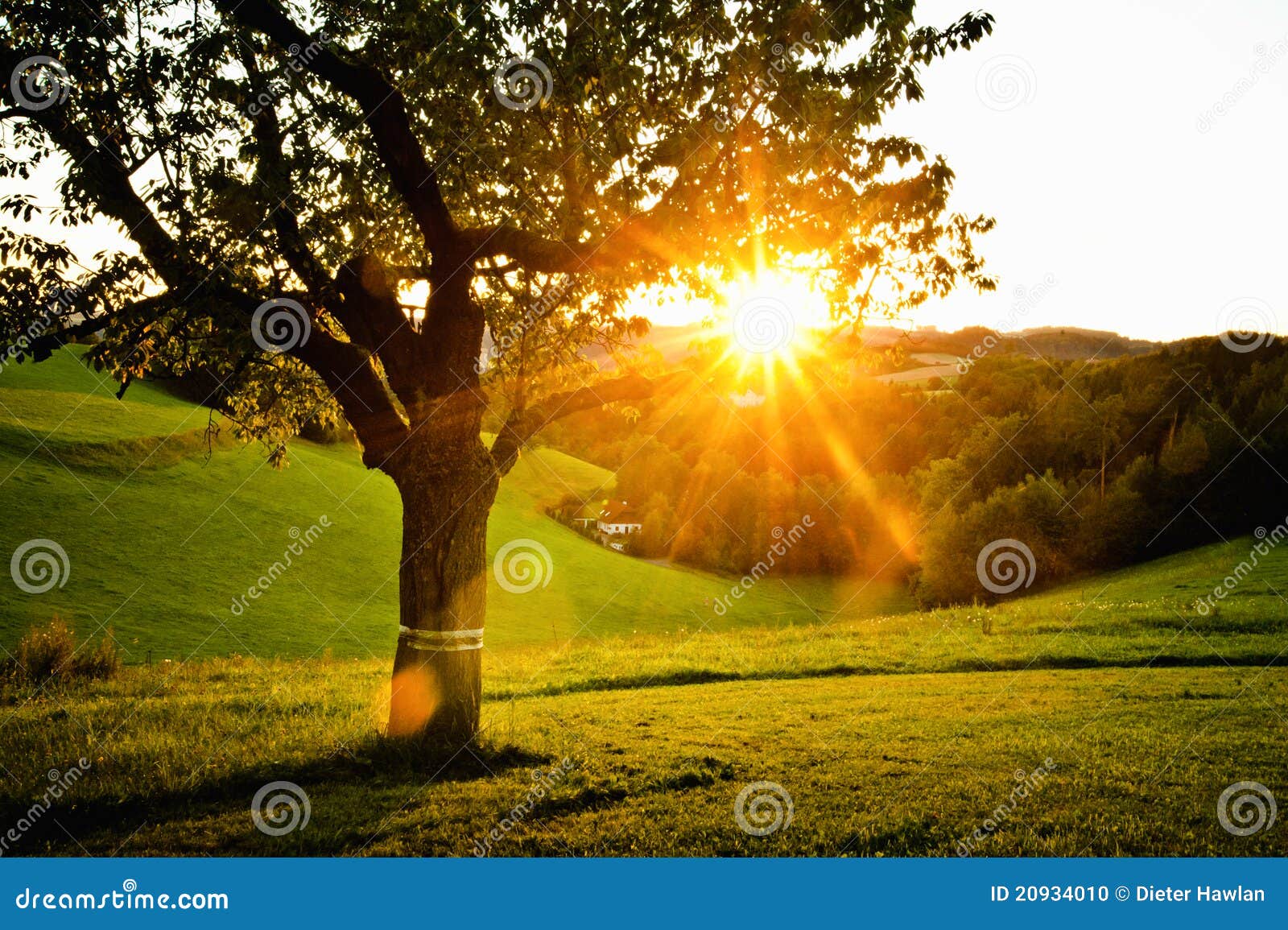 Sunset in the Country stock photo. Image of fresh, idyll - 20934010