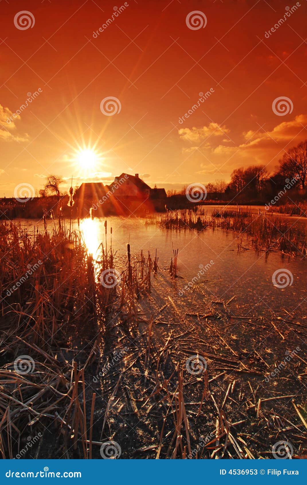 Sunset in the country stock image. Image of country, botanical - 4536953