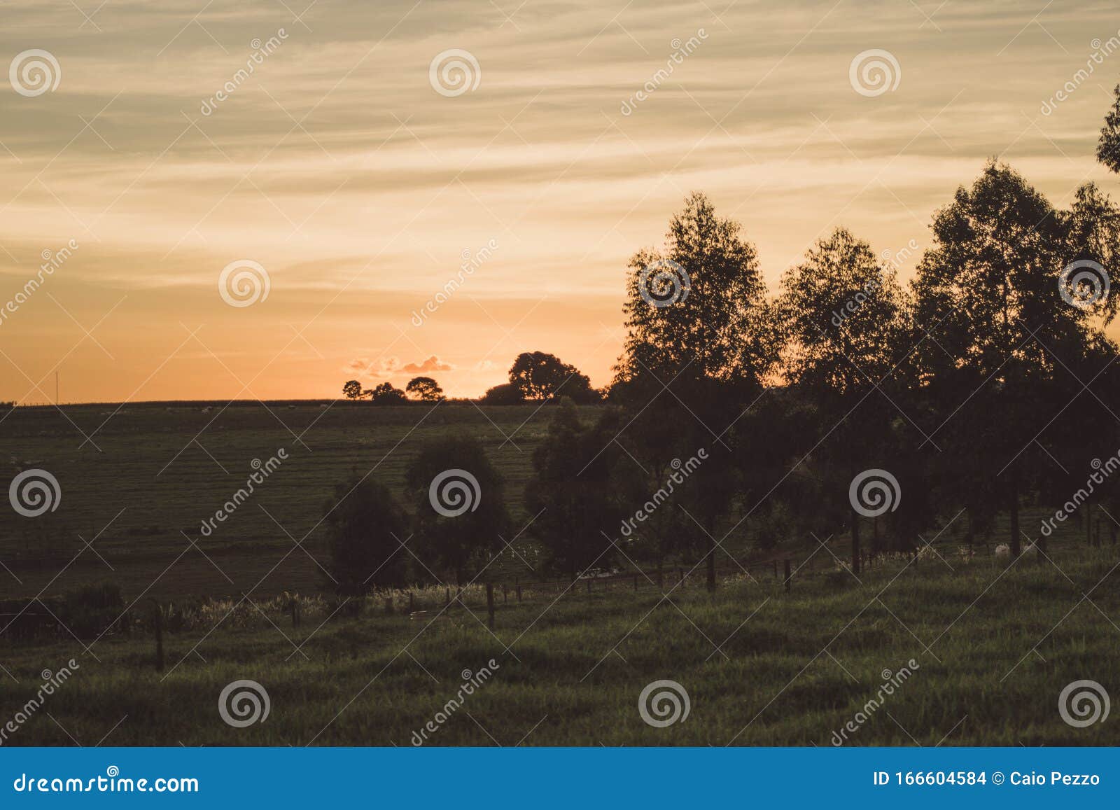 Amazing Summer Sunset in Country Side Stock Photo - Image of black ...