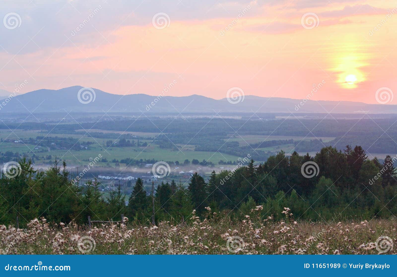 Sunset Countryside Landscape Stock Image - Image of settlement, flower ...