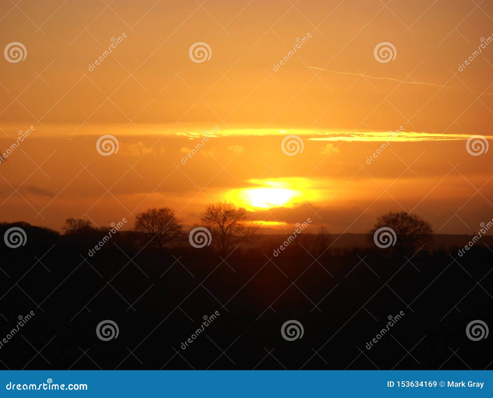 ,Orange Sky at Night stock image. Image of trees, night - 153634169