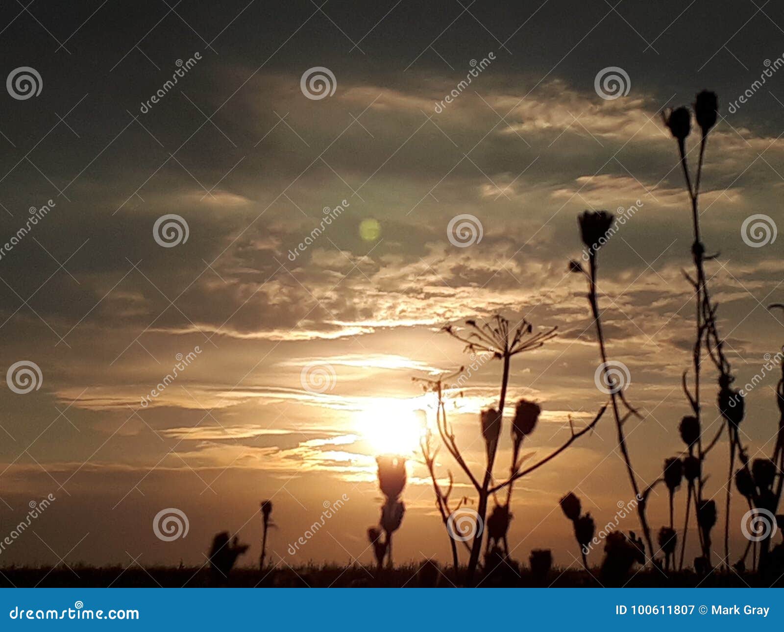 Shimmering Sunset stock image. Image of sunset, shimmering - 100611807