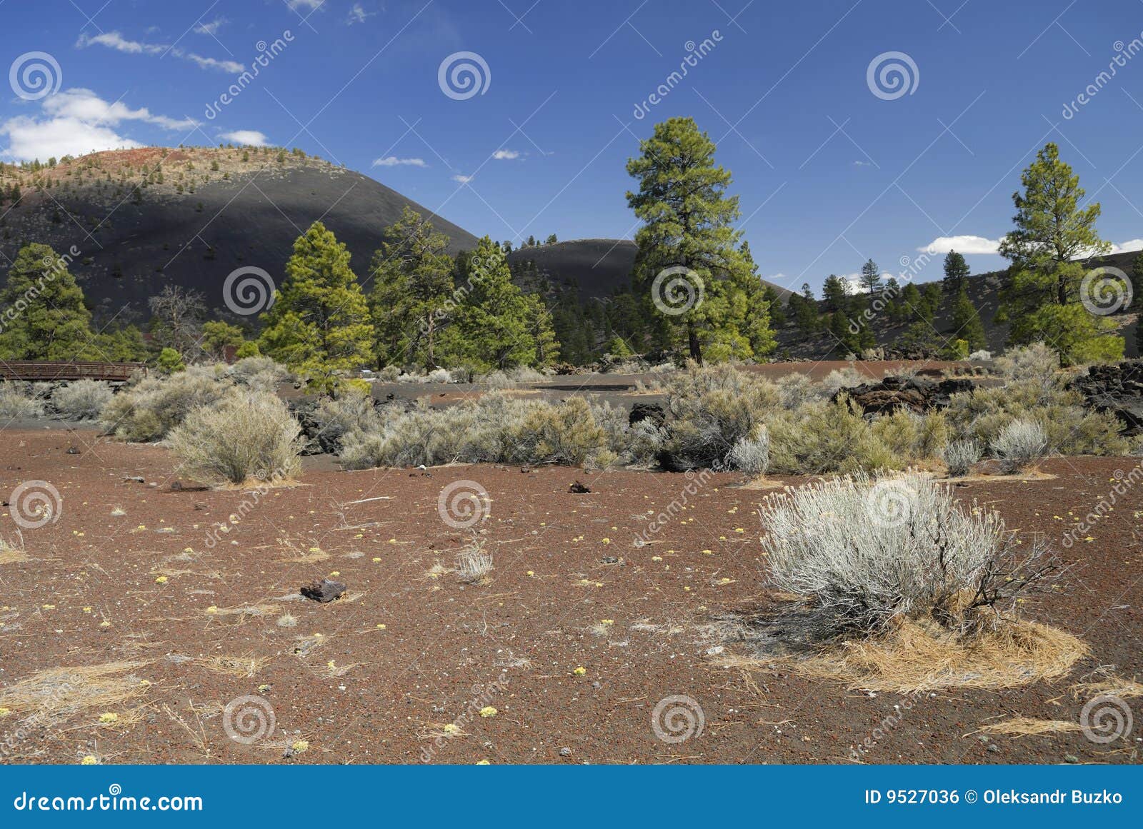 Sunset Crater Volcano in Arizona Stock Photo - Image of morning, remote ...