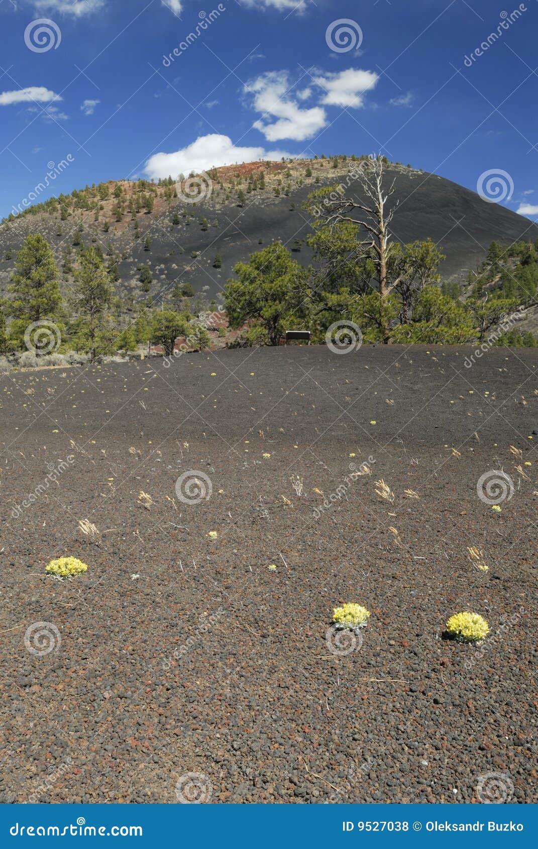 Sunset Crater Volcano in Arizona Stock Photo - Image of crater, harsh ...