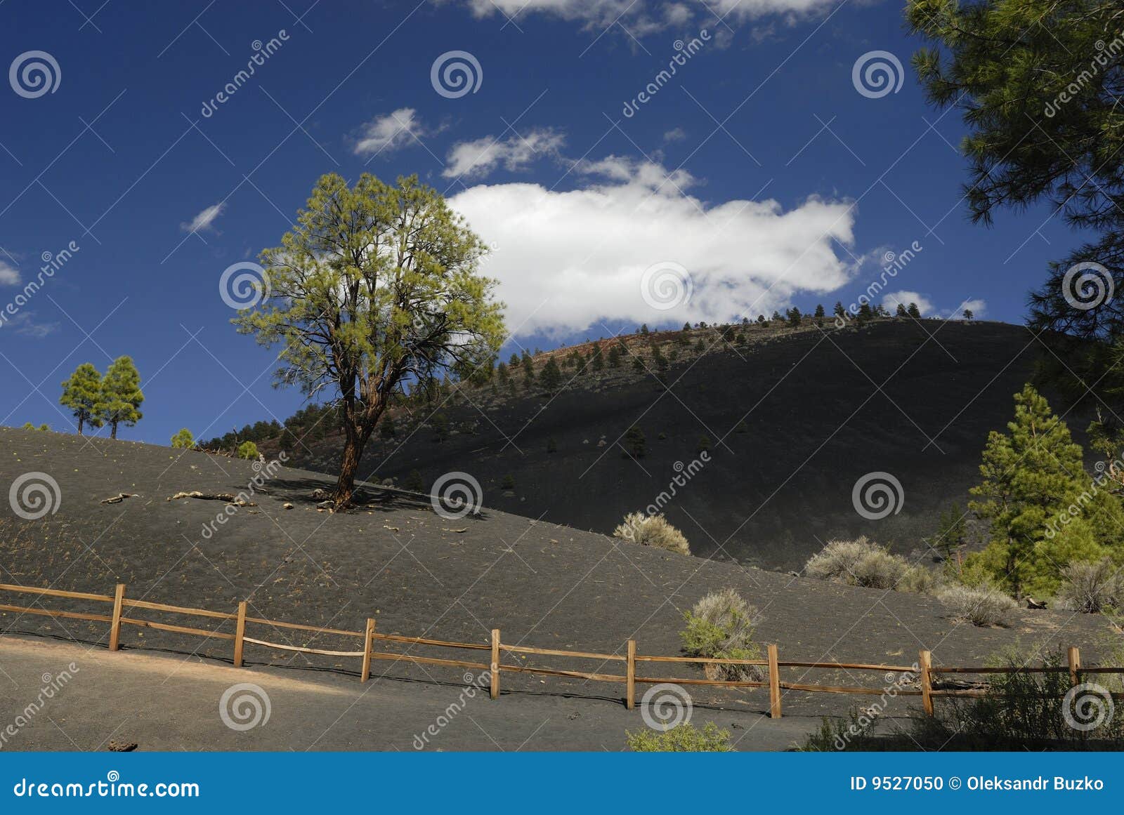 Sunset Crater Volcano in Arizona Stock Photo - Image of arizona, trail ...