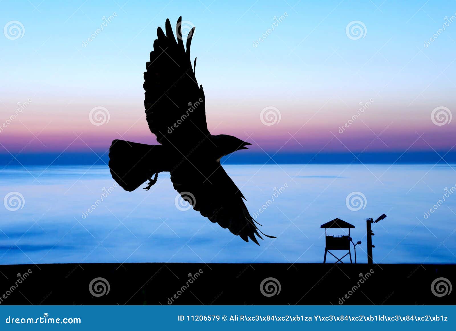 Sunset and crow stock image. Image of glow, barbican - 11206579