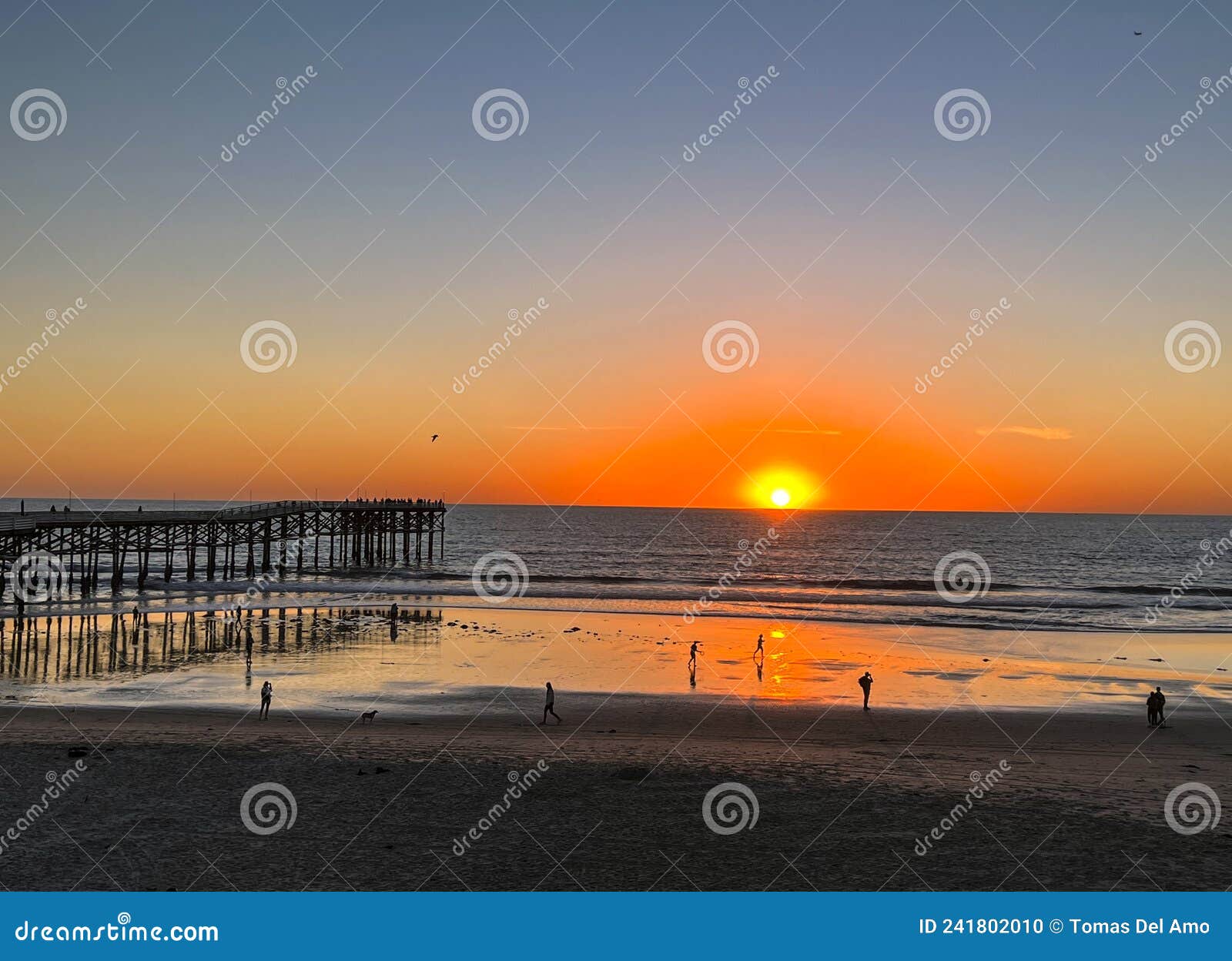 Sunset at crystal pier stock photo. Image of silhouette - 241802010
